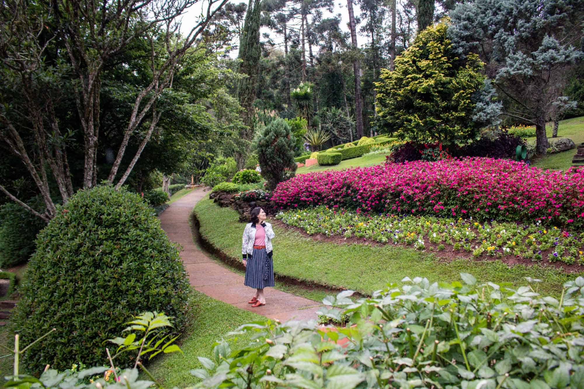 O que fazer em Santo Antônio do Pinhal: principais atrações