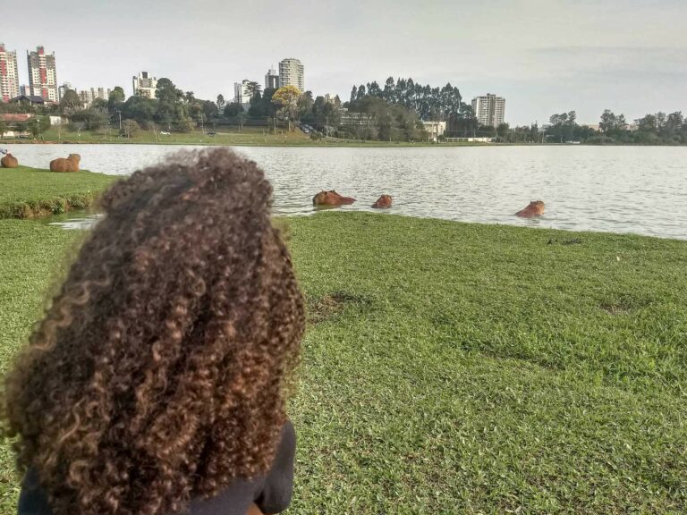 Parque Barigui Curitiba: descubra o pulmão verde da cidade