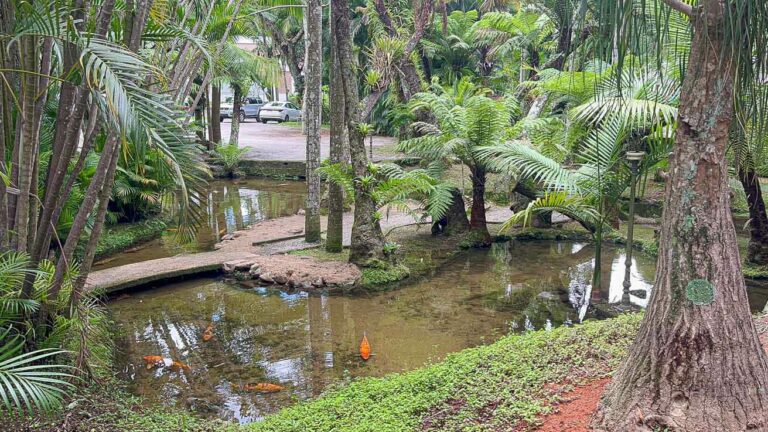 Orquidário Binot em Petrópolis: como é a visita