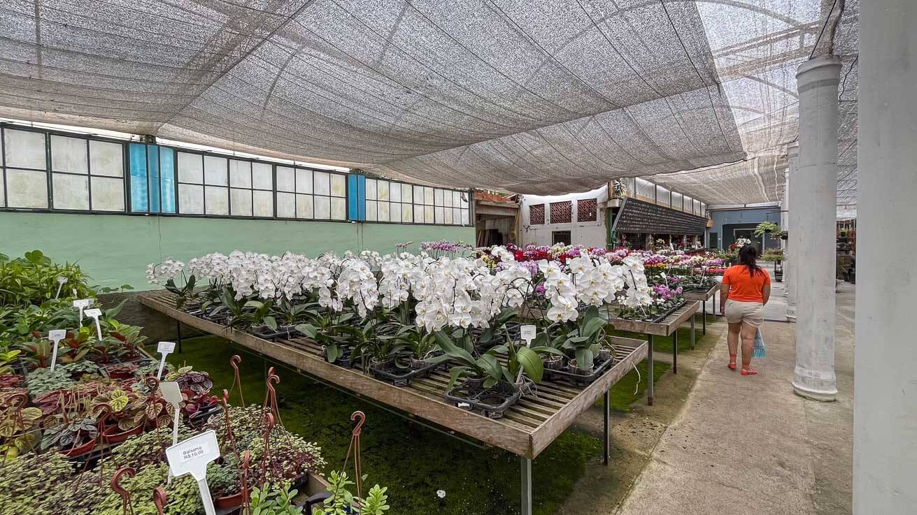 Orquidário Binot em Petrópolis: como é a visita