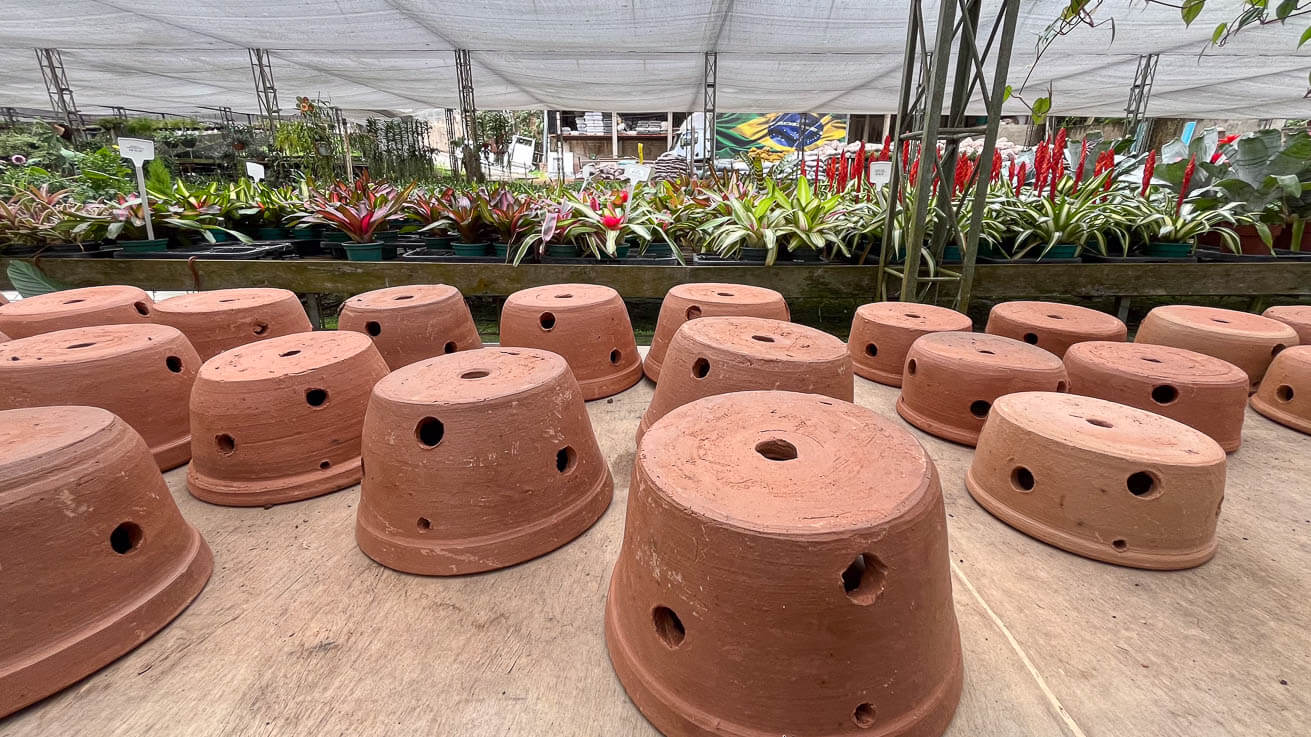 Orquidário Binot em Petrópolis: como é a visita