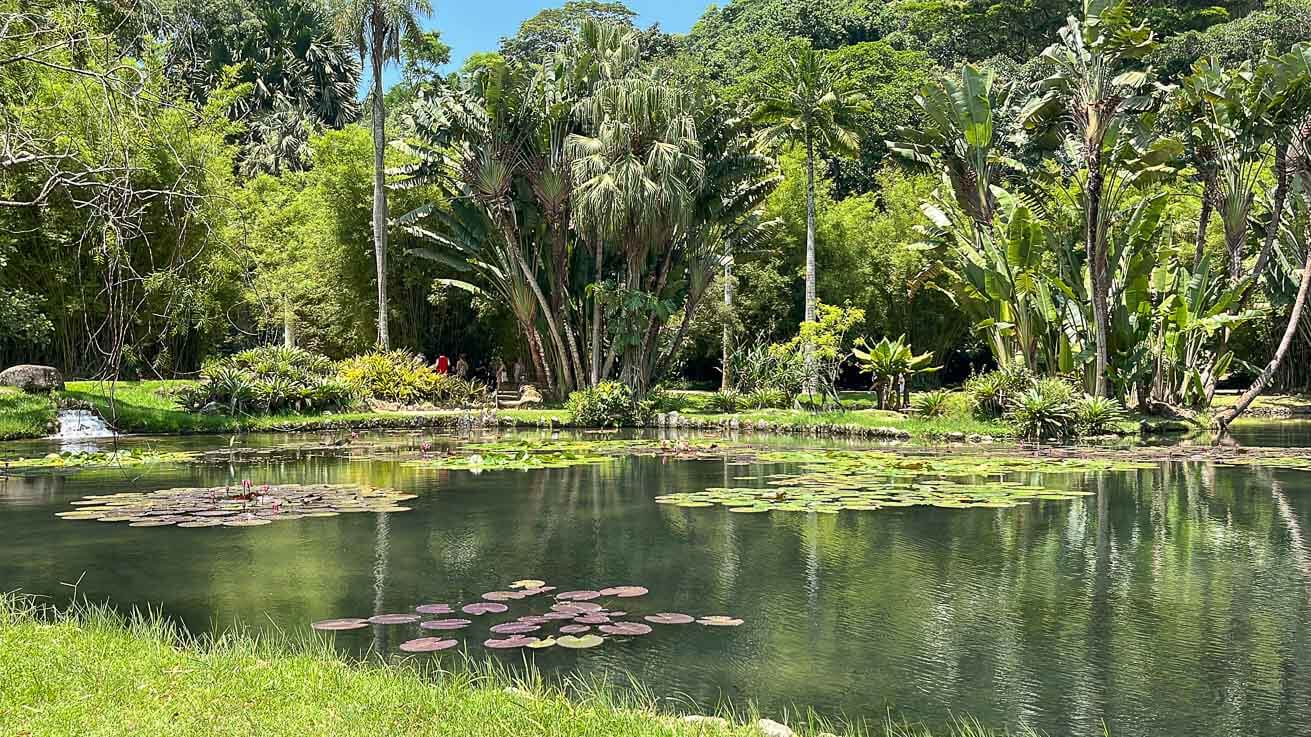 Jardim Botânico Rio de Janeiro: o que saber antes de ir