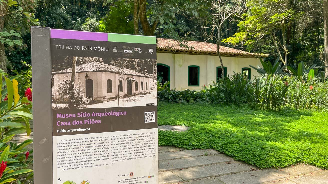 Jardim Botânico Rio de Janeiro: o que saber antes de ir
