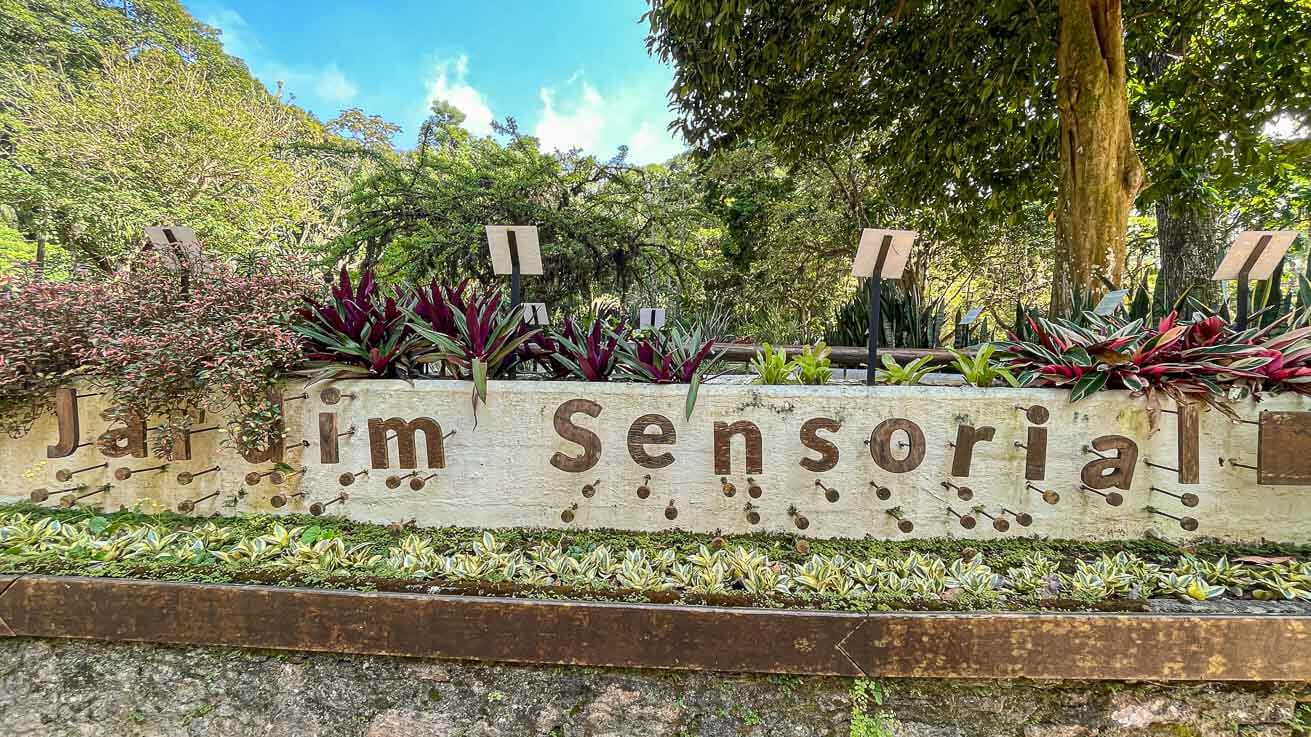 Jardim Botânico Rio de Janeiro: o que saber antes de ir