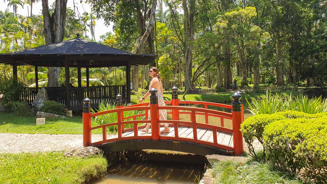 Jardim Botânico Rio de Janeiro: o que saber antes de ir
