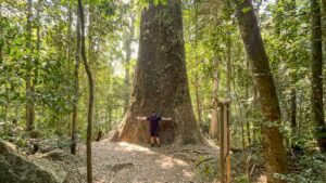 O que fazer em Cachoeiras de Macacu: passeios e dicas