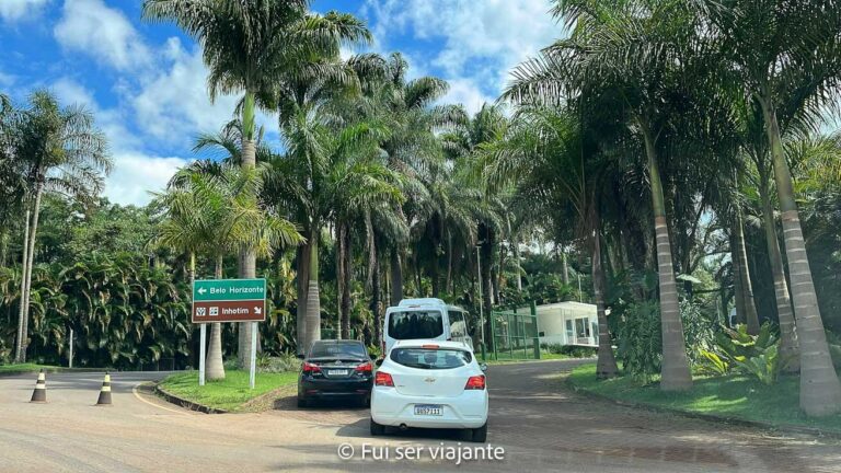 O que fazer em Inhotim em 1 dia: roteiro de bate volta de BH