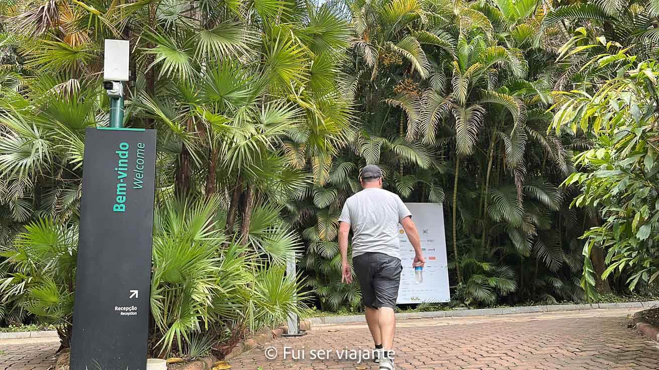 O que fazer em Inhotim em 1 dia: roteiro de bate volta de BH