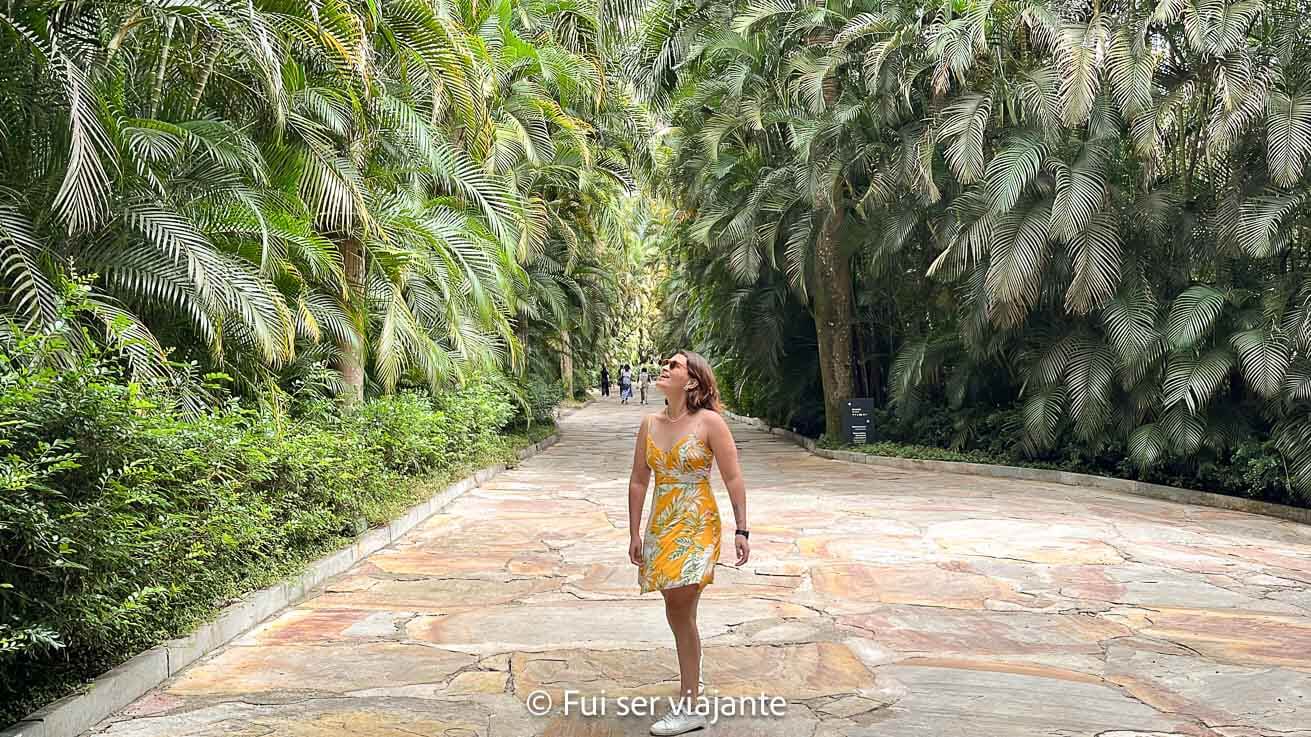 O que fazer em Inhotim em 1 dia: roteiro de bate volta de BH